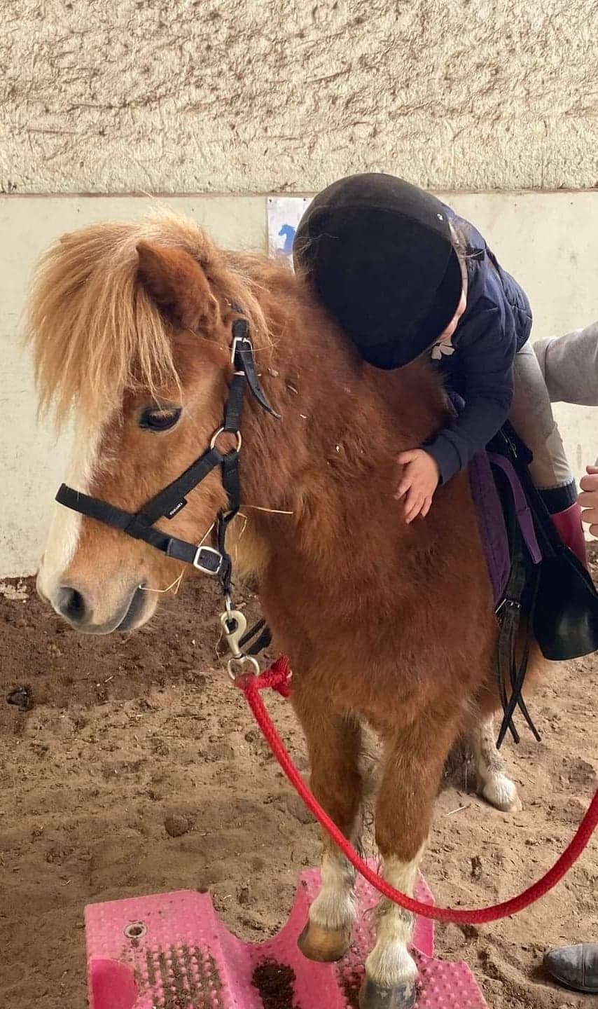 Le Poney Club fait sa rentrée ! – OGFA